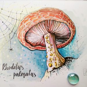 Cómo dibujar una seta con un lápiz: instrucciones para niños y ...