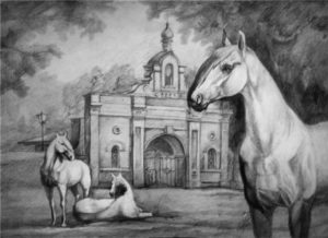 Cum să desenezi un cal (74 poze): instrucțiuni pas cu pas cu creion și ...