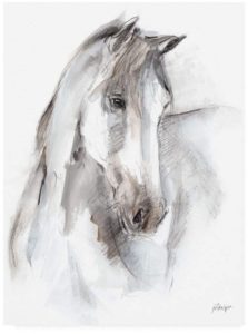 Cum să desenezi un cal (74 poze): instrucțiuni pas cu pas cu creion și ...