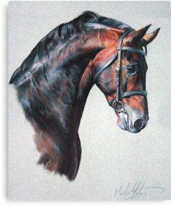 Cum să desenezi un cal (74 poze): instrucțiuni pas cu pas cu creion și ...