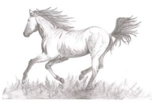 Cum să desenezi un cal (74 poze): instrucțiuni pas cu pas cu creion și ...