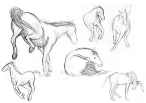 Cum să desenezi un cal (74 poze): instrucțiuni pas cu pas cu creion și ...