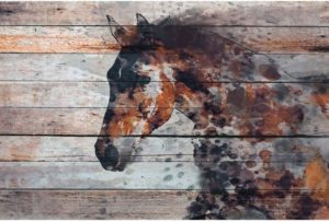 Cum să desenezi un cal (74 poze): instrucțiuni pas cu pas cu creion și ...