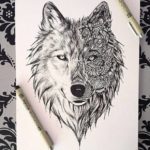 Wie man einen Wolf mit einem Bleistift zeichnet (87 Fotos): einfache ...