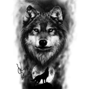 Wie man einen Wolf mit einem Bleistift zeichnet (87 Fotos): einfache ...