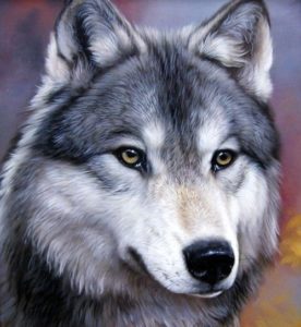 Wie man einen Wolf mit einem Bleistift zeichnet (87 Fotos): einfache ...