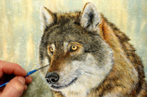Wie man einen Wolf mit einem Bleistift zeichnet (87 Fotos): einfache ...