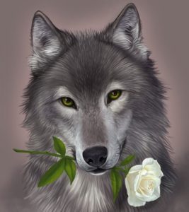 Wie man einen Wolf mit einem Bleistift zeichnet (87 Fotos): einfache ...