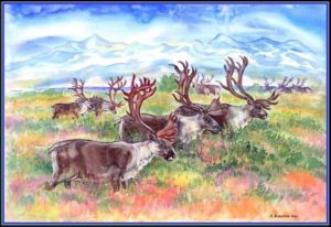 How to draw a tundra with pencils and paints: step-by-step instructions ...